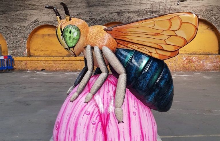 Manchester Bee will create a buzz at the Eye Hospital - Manchester ...