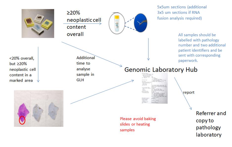 Home Protected: North West Genomic Laboratory Hub Test Information ...