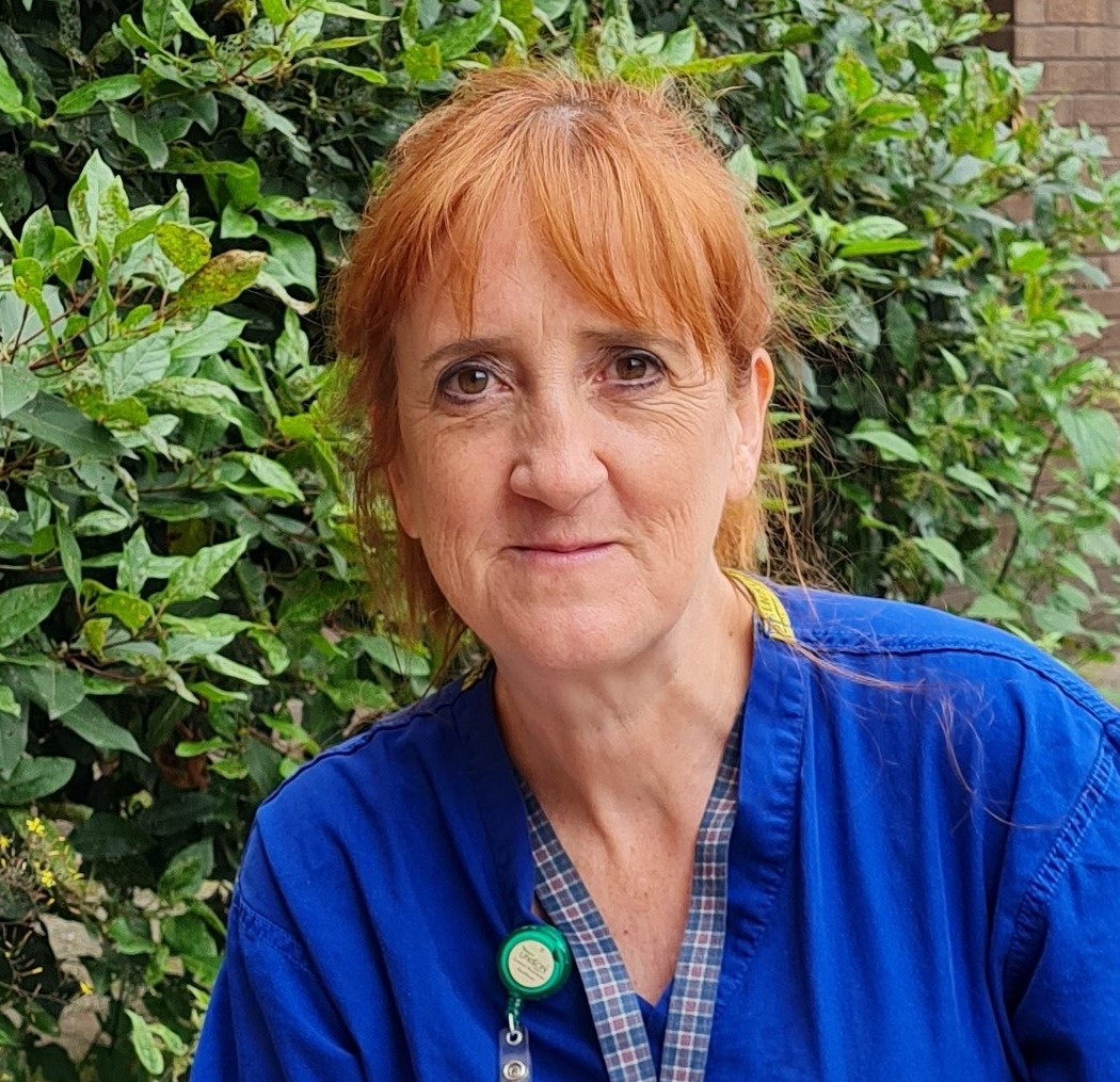 Teresa Kelly's Instagram, Twitter & Facebook on IDCrawl