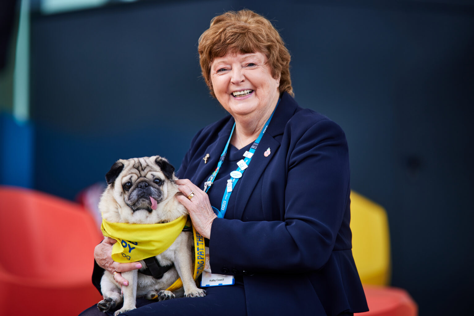 Alfie the pug ‘puts his paws up’ after nearly nine years supporting ...