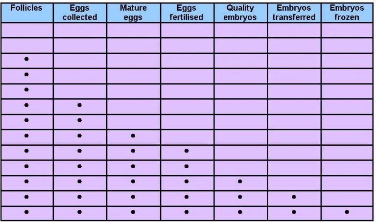 In Vitro Fertilisation (IVF) - Saint Mary's Hospital